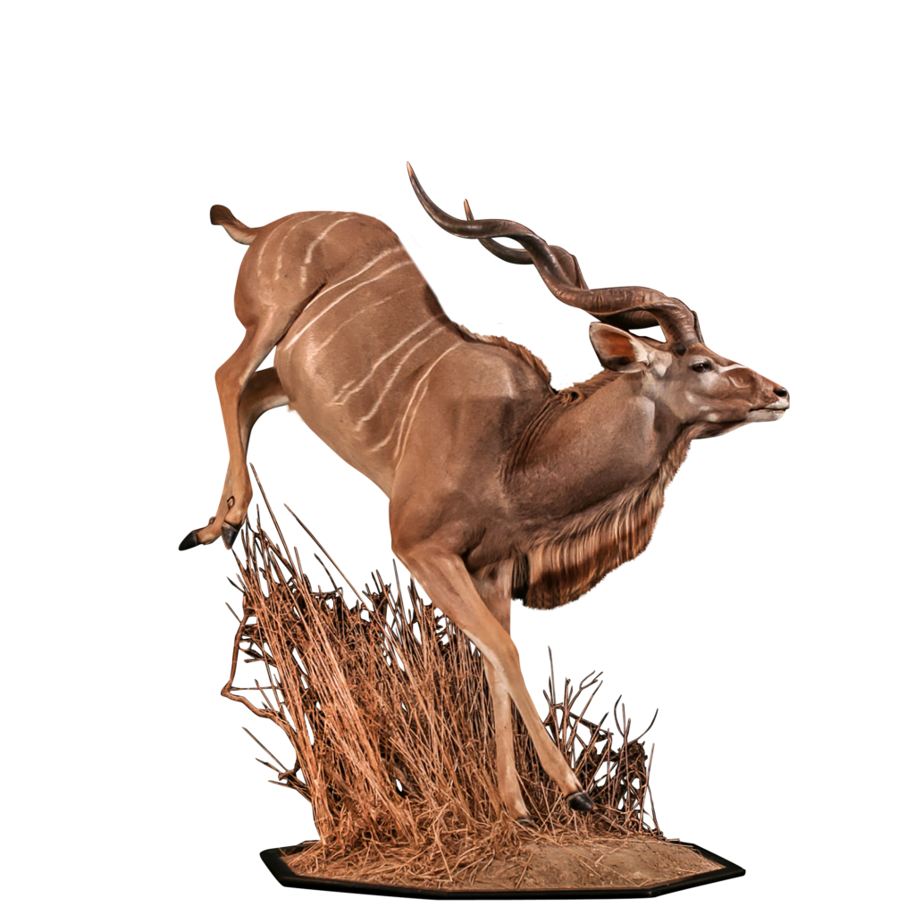 Kudu KU103 : Our Work | Kanati Studio