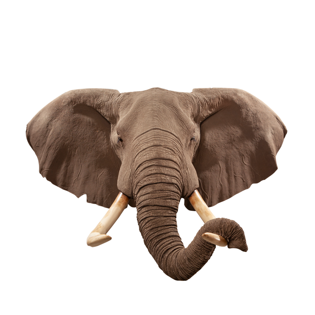 Elephant Replica RE103 : Our Work | Kanati Studio