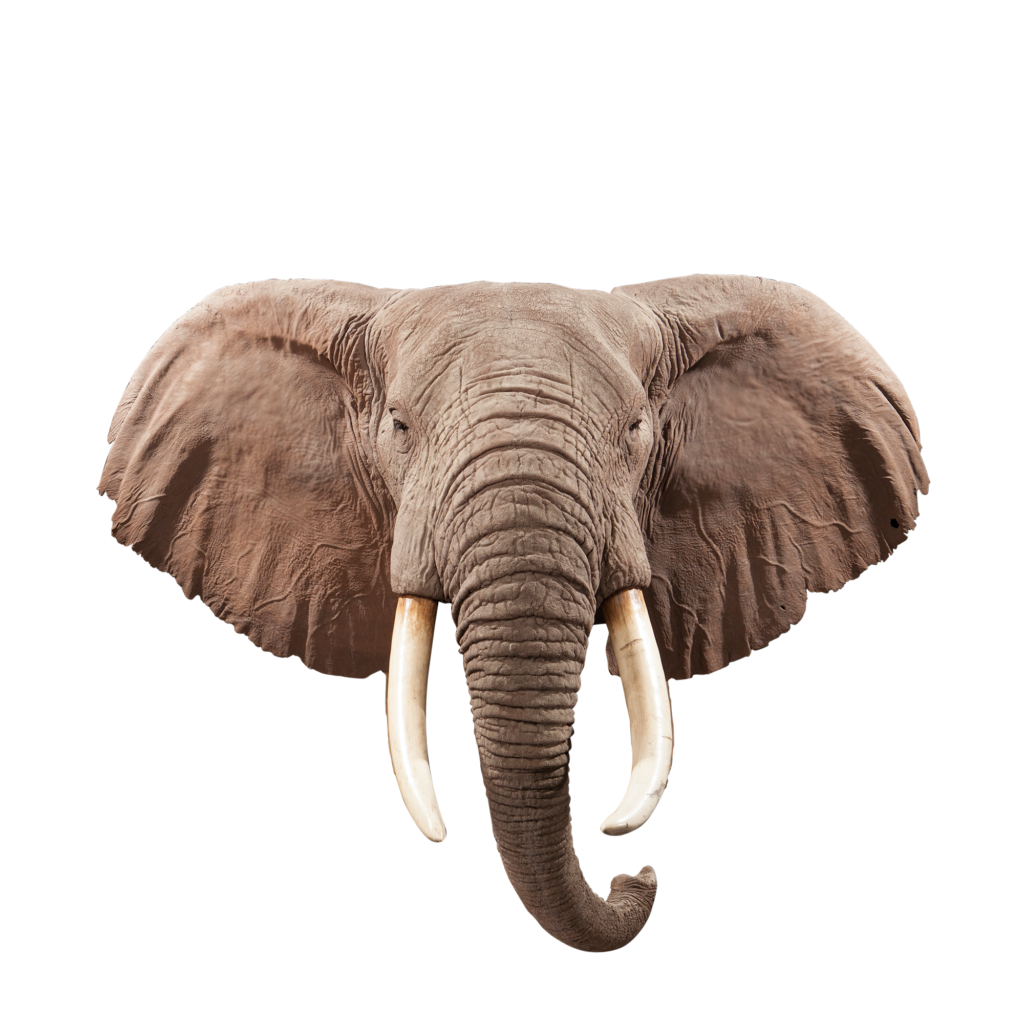 Elephant Replica RE104 : Our Work | Kanati Studio